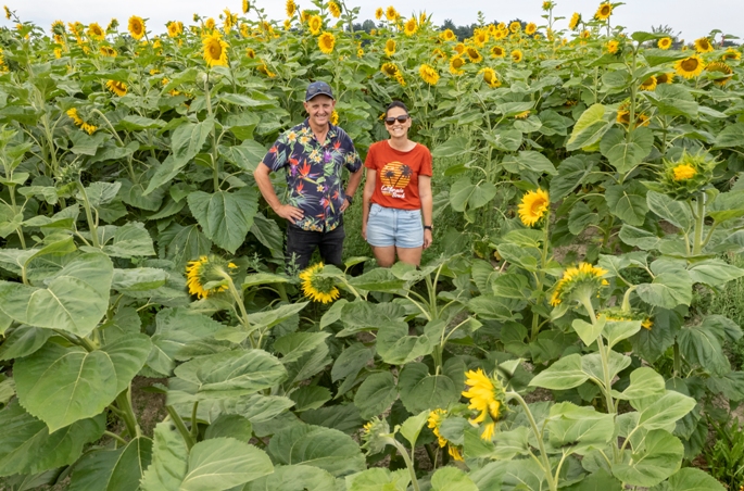 SunLive - Waikato couple fulfils small farm dream - The Bay's News First
