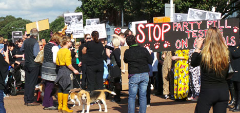 SunLive - Protest against animal testing - The Bay's News First