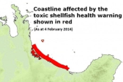 SunLive - Toxic shellfish warning revised - The Bay's News First
