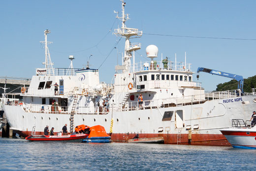 SunLive - Marine legacy offered to city - The Bay's News First