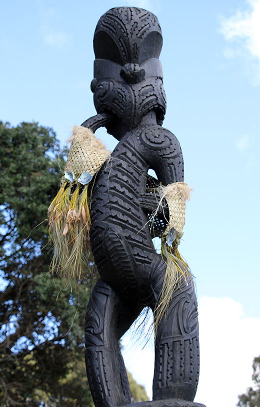 SunLive - Battle march in Gate Pa - The Bay's News First