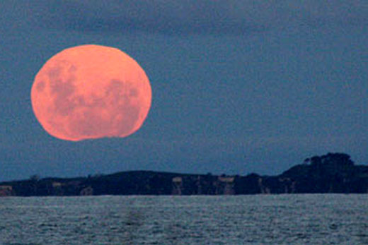 SunLive - Supermoon shines on Monday - The Bay's News First