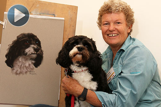 SunLive - Tauranga art goes to the dogs - The Bay's News First