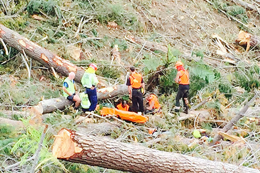 SunLive - Injured forestry worker airlifted to hospital - The Bay's ...