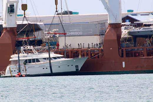 SunLive - A boatload of boats - The Bay's News First