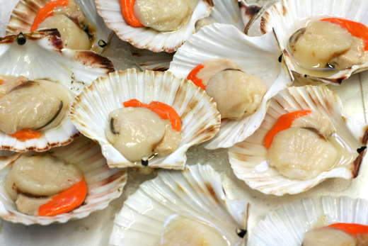 SunLive - Parasite found in islands' scallops - The Bay's News First