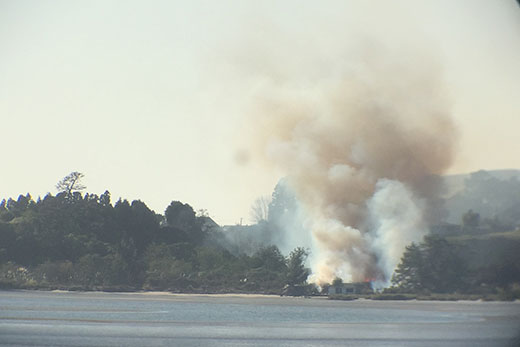 SunLive - Scrub fire in Welcome Bay - The Bay's News First