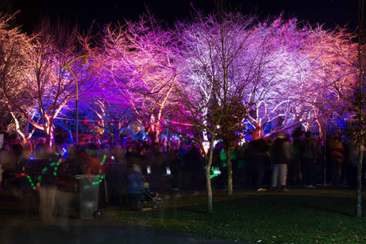 SunLive - Colourful art in Greerton Village - The Bay's News First