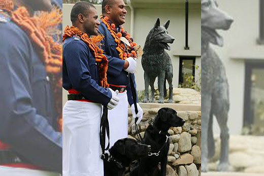 SunLive - Fijian dog teams complete NZ training - The Bay's News First