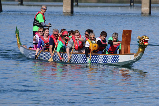 SunLive - Dragon boating fun on the water - The Bay's News First