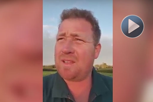 SunLive - Outcry after bobby calf treatment - The Bay's News First