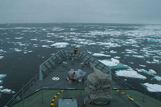SunLive - Southern Ocean patrol complete - The Bay's News First