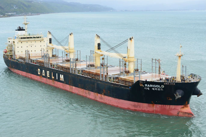 SunLive - Fouled ship ordered out of port - The Bay's News First