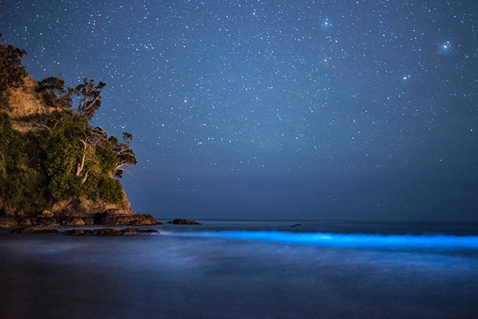 SunLive - There’s something in the water in Ohope - The Bay's News First