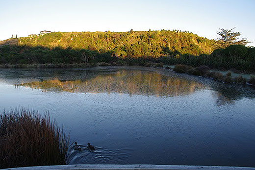 SunLive - A week of fine weather - The Bay's News First