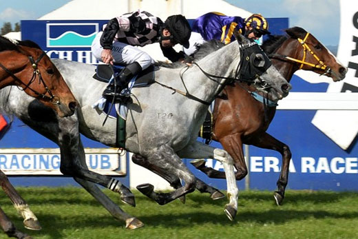 SunLive - Racing Tauranga to celebrate change - The Bay's News First