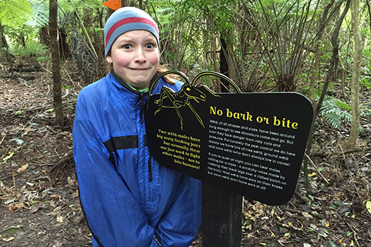 SunLive - Interactive forest trail opens - The Bay's News First