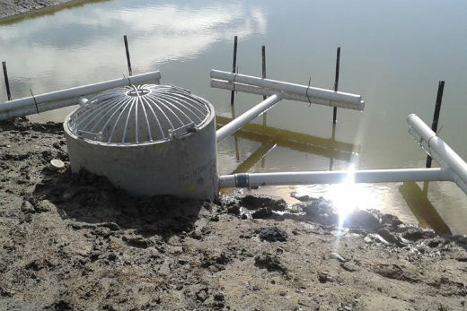 SunLive - Earthworks season rules recap - The Bay's News First