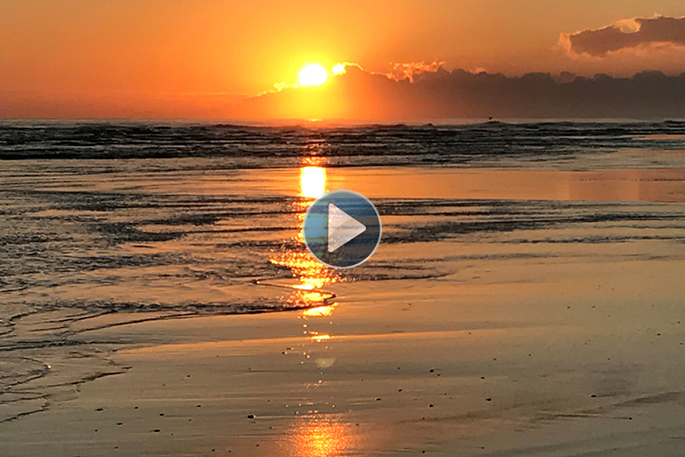 SunLive - Sunrise photos and today’s weather - The Bay's News First