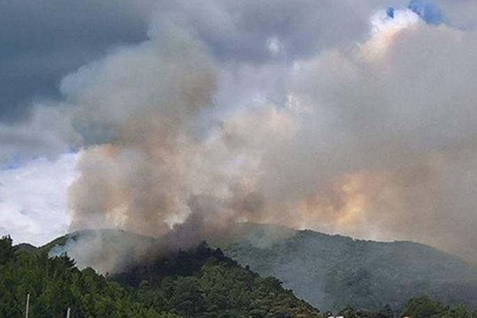 SunLive - Fire behind Thames township - The Bay's News First