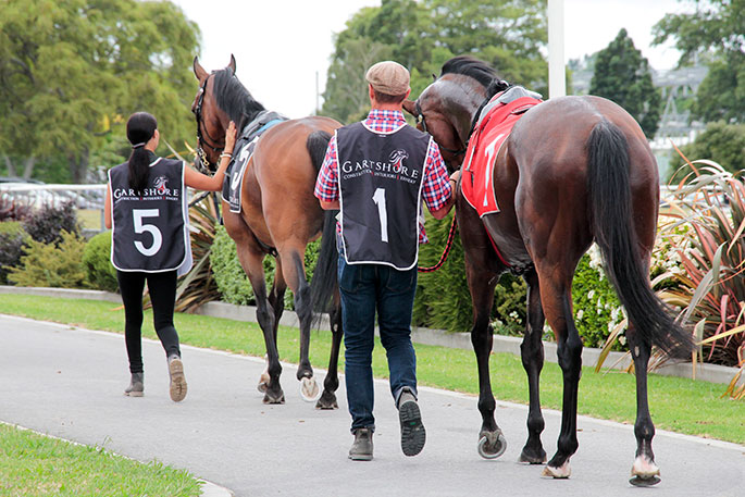 SunLive - Racing fun for all at Tauranga - The Bay's News First