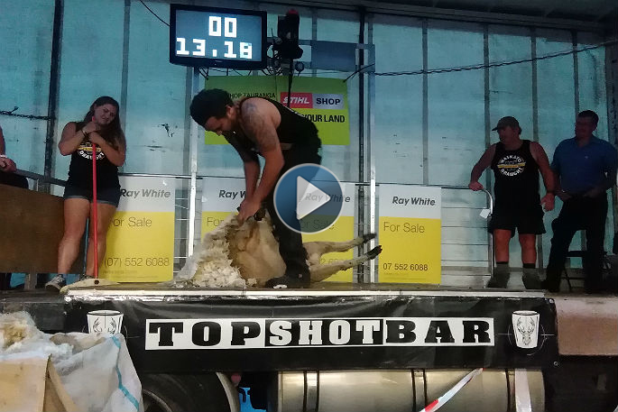 SunLive - Big bets at speed shearing - The Bay's News First