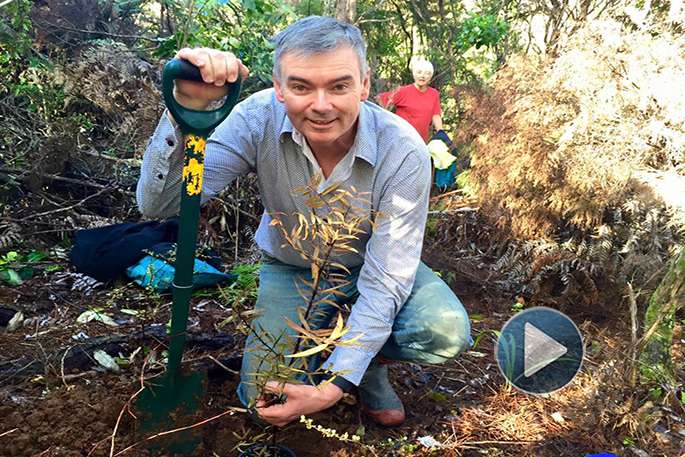 SunLive - Coromandel MP delighted with new role - The Bay's News First