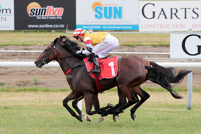 SunLive - Autumn Race Day - The Bay's News First