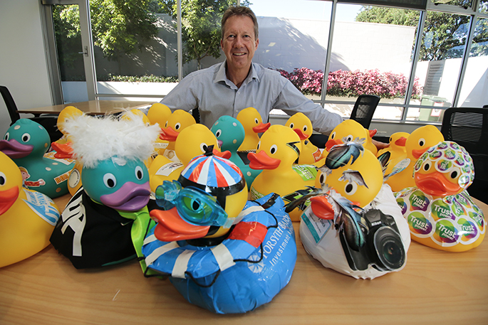 SunLive - What’s On? Cat Show & Duck Racing - The Bay's News First