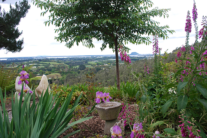 SunLive - Exploring from Te Puna to Tauranga - The Bay's News First