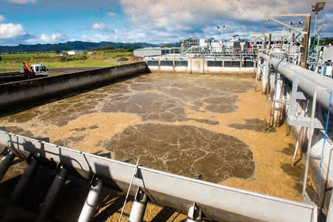 SunLive - Rethinking trade waste - The Bay's News First