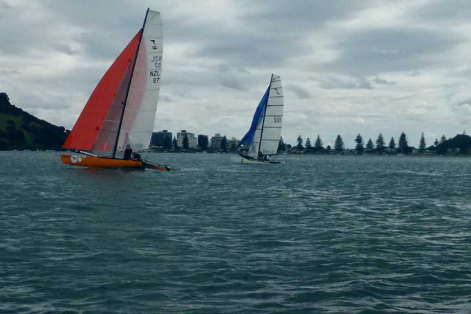 SunLive - Catamarans racing in harbour - The Bay's News First
