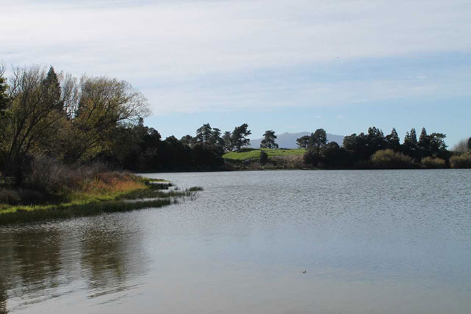 SunLive - Health warning lifted for Lake Okaro - The Bay's News First