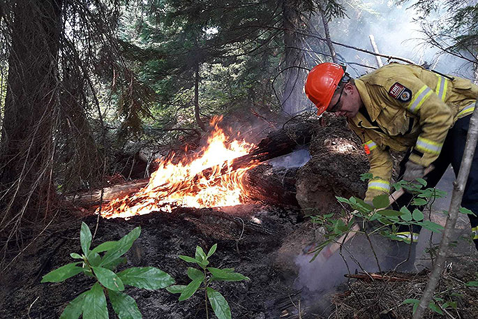 SunLive - NZ firefighters say long, hot days worth it - The Bay's News ...