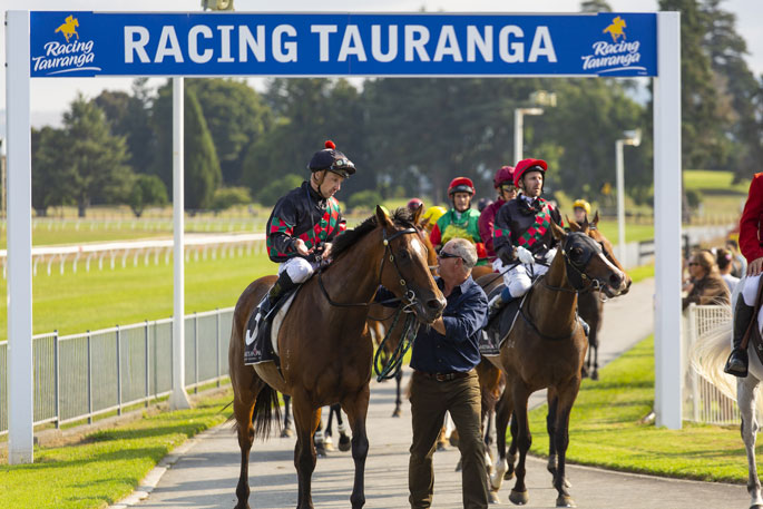 SunLive - Good fields for Racing Tauranga this Saturday - The Bay's ...