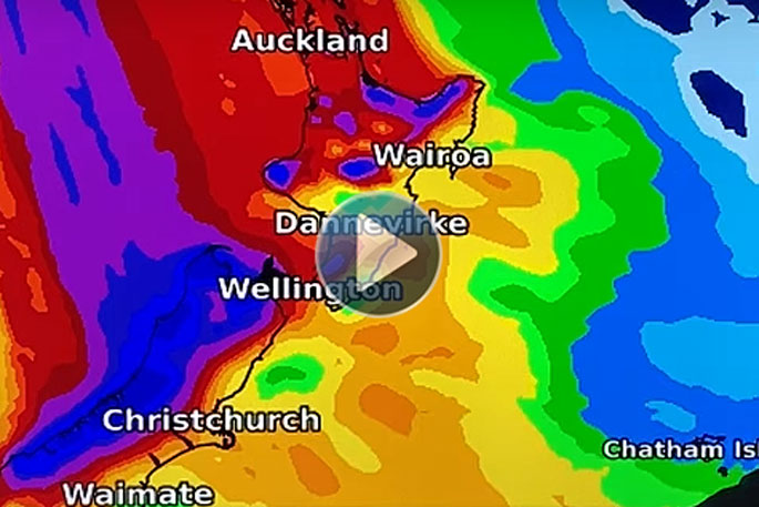 SunLive - Home - The Bay's News First