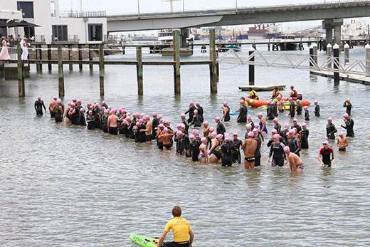SunLive - Swimming to the bridge - The Bay's News First