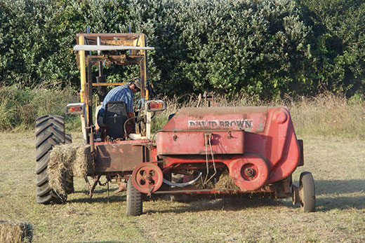 SunLive - Age not an issue for baler - The Bay's News First