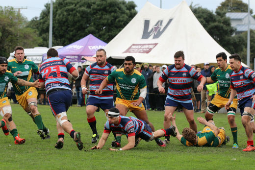SunLive - Baywide Club Rugby results - The Bay's News First