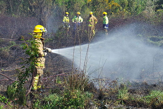 SunLive - Large scrub fire in Omokoroa - The Bay's News First