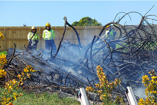 SunLive - Large scrub fire in Omokoroa - The Bay's News First