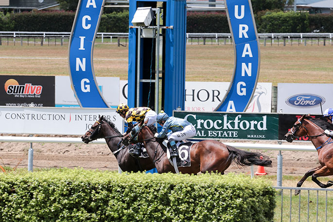 SunLive - Top weights dominate at races - The Bay's News First