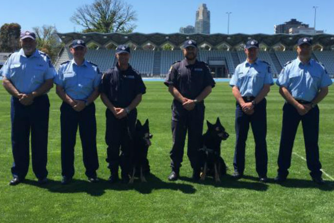 SunLive - Whakatane police dog wins - The Bay's News First
