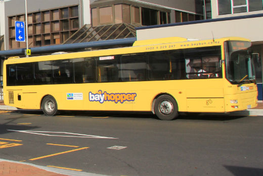 SunLive - Bay Hopper initiative launched - The Bay's News First