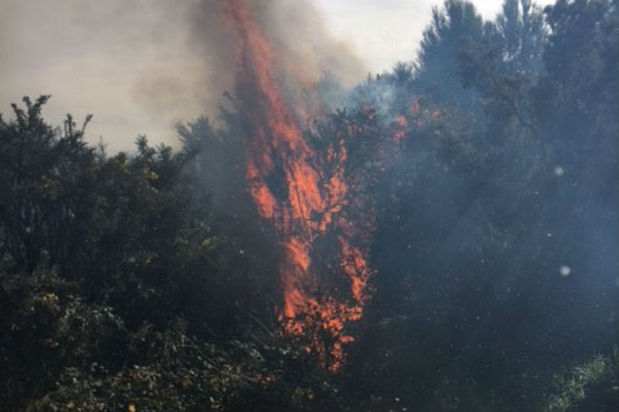 SunLive - Trains stopped for salt marsh fire - The Bay's News First