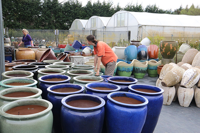 The Weekend Sun | One pot, two pot, big pot...