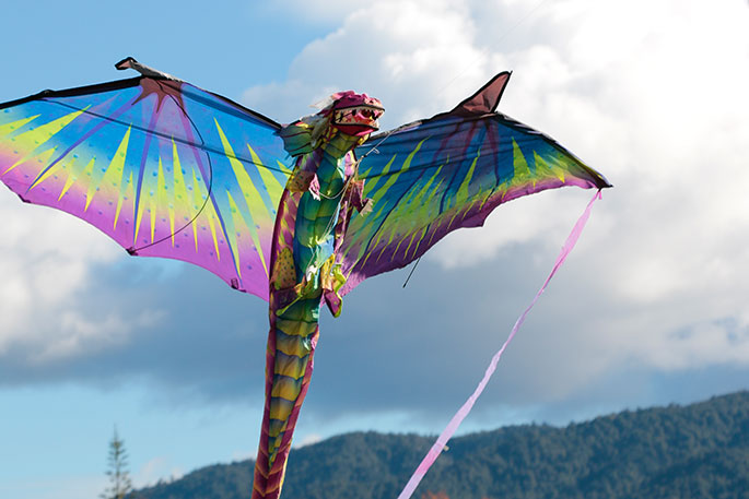 The Weekend Sun | Filling the heavens for Matariki