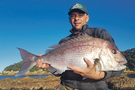Waterline - Fat Snapper jumping out of the water