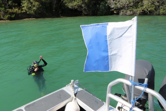 Waterline - Dive flags help avoid confusion